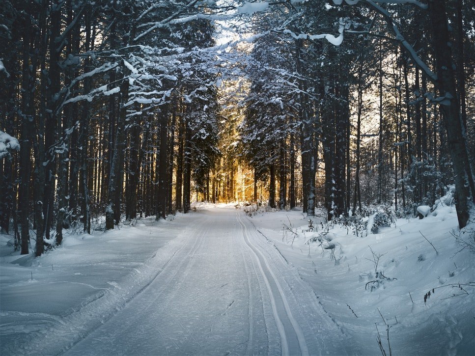 Annoying Winter Car Problems and How to Combat Them - Aceable