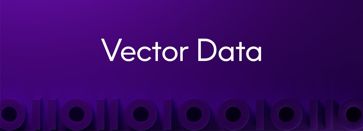 Vector Data Definition - What is vector data? - Precisely