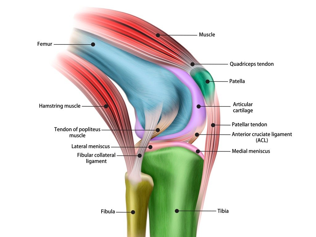 How Long Does ACL Rehab Take?