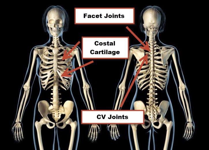 catch-in-upper-back