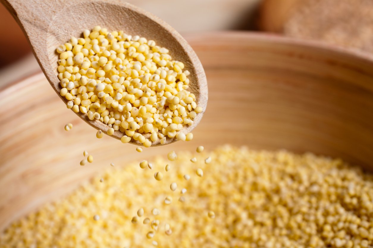 What is Millet? - In the Kitchen with Honeyville